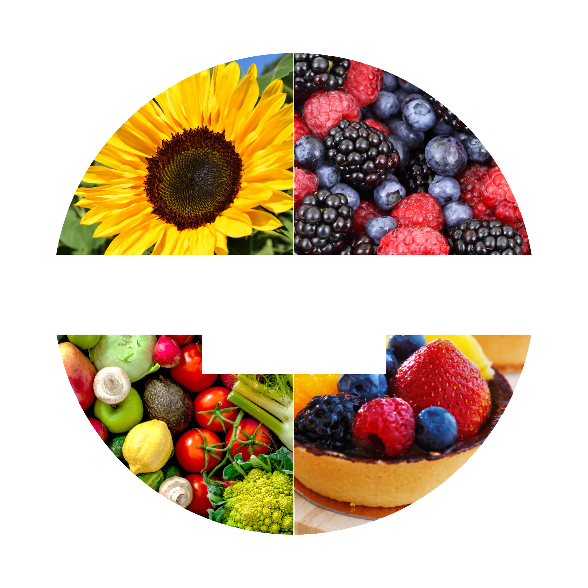 Central Farm Markets