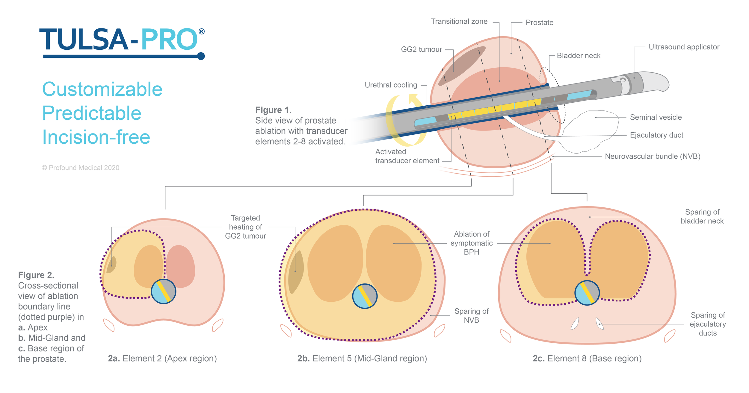 Evolution Imaging | Same-Day Ultrasound Appointments in OKC