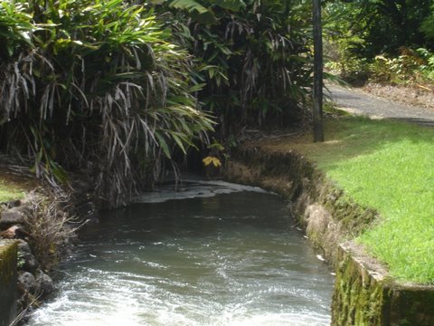 Services 3 — ITC Water Management