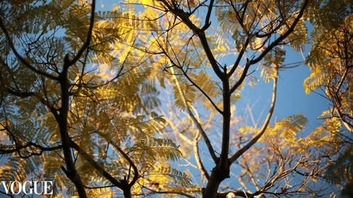 Constance Iloh Griffith Photography