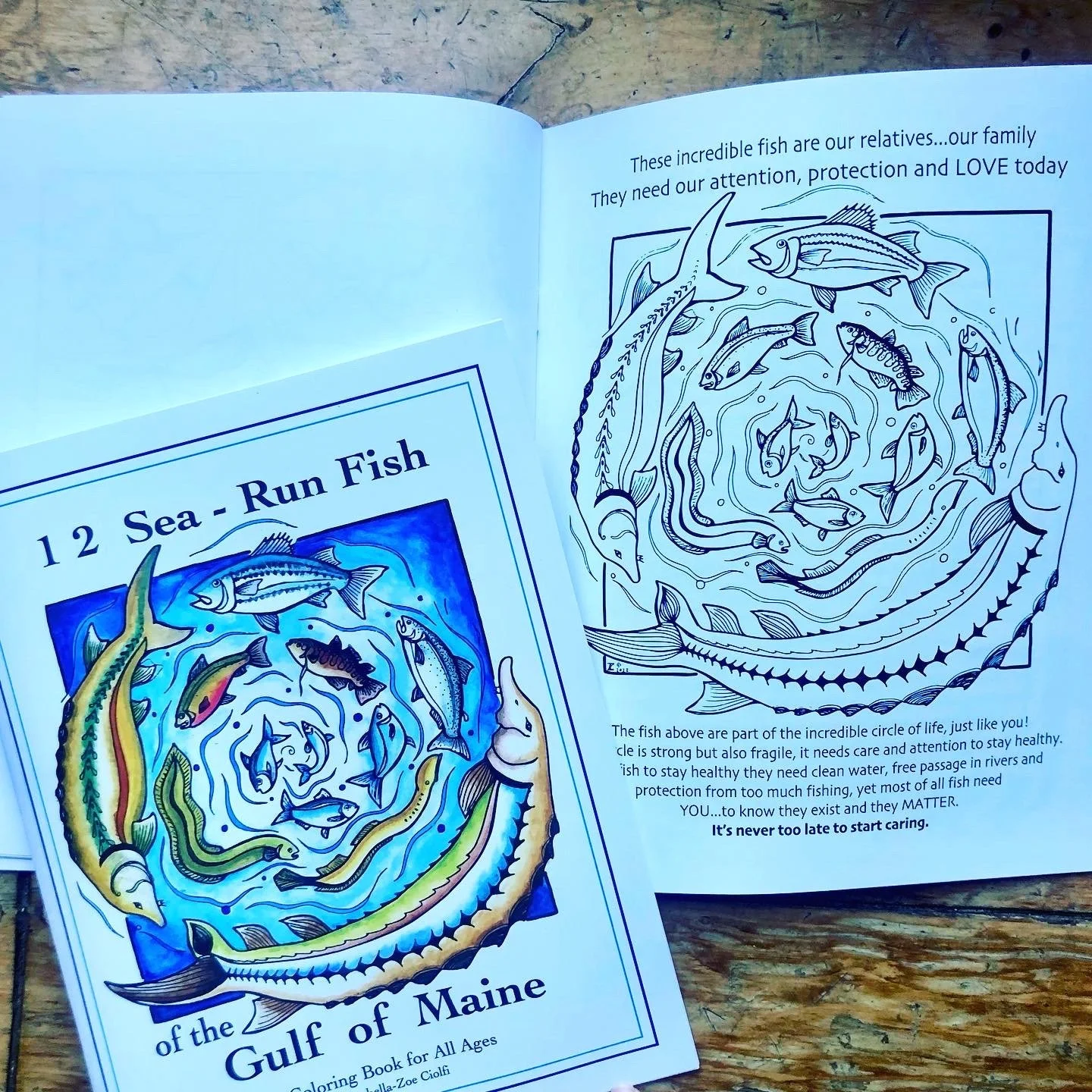 rivers coloring pages