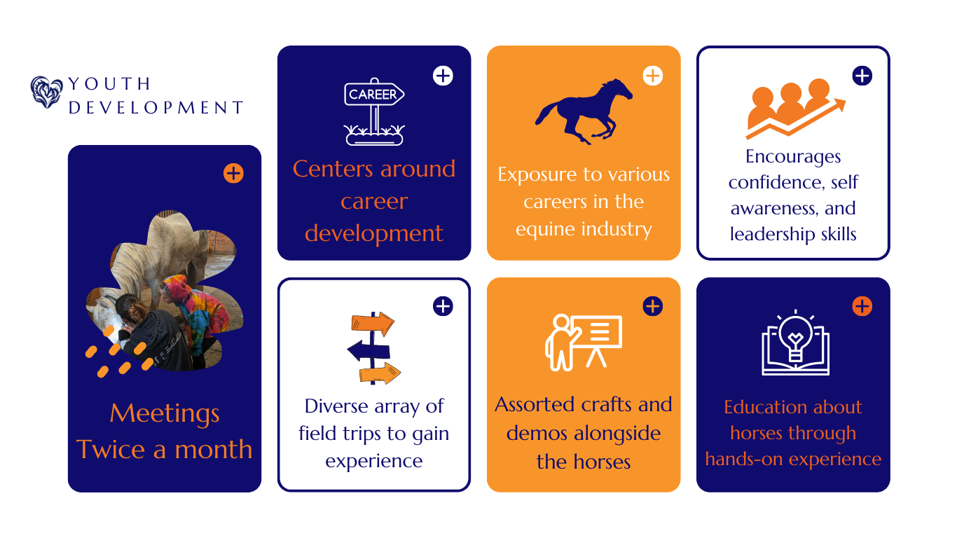 Youth Development Program — Lucky Orphans Horse Rescue