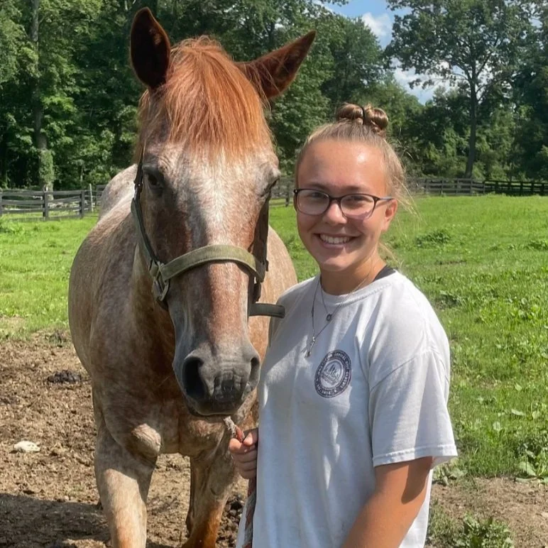 Meet the Staff — Lucky Orphans Horse Rescue