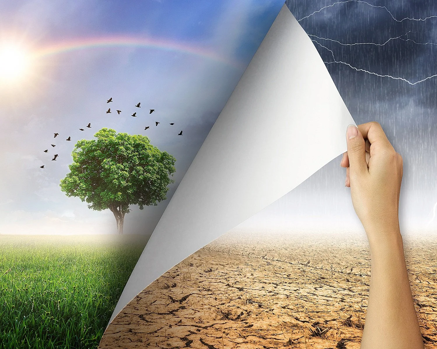 Rapid Resolution Therapy®