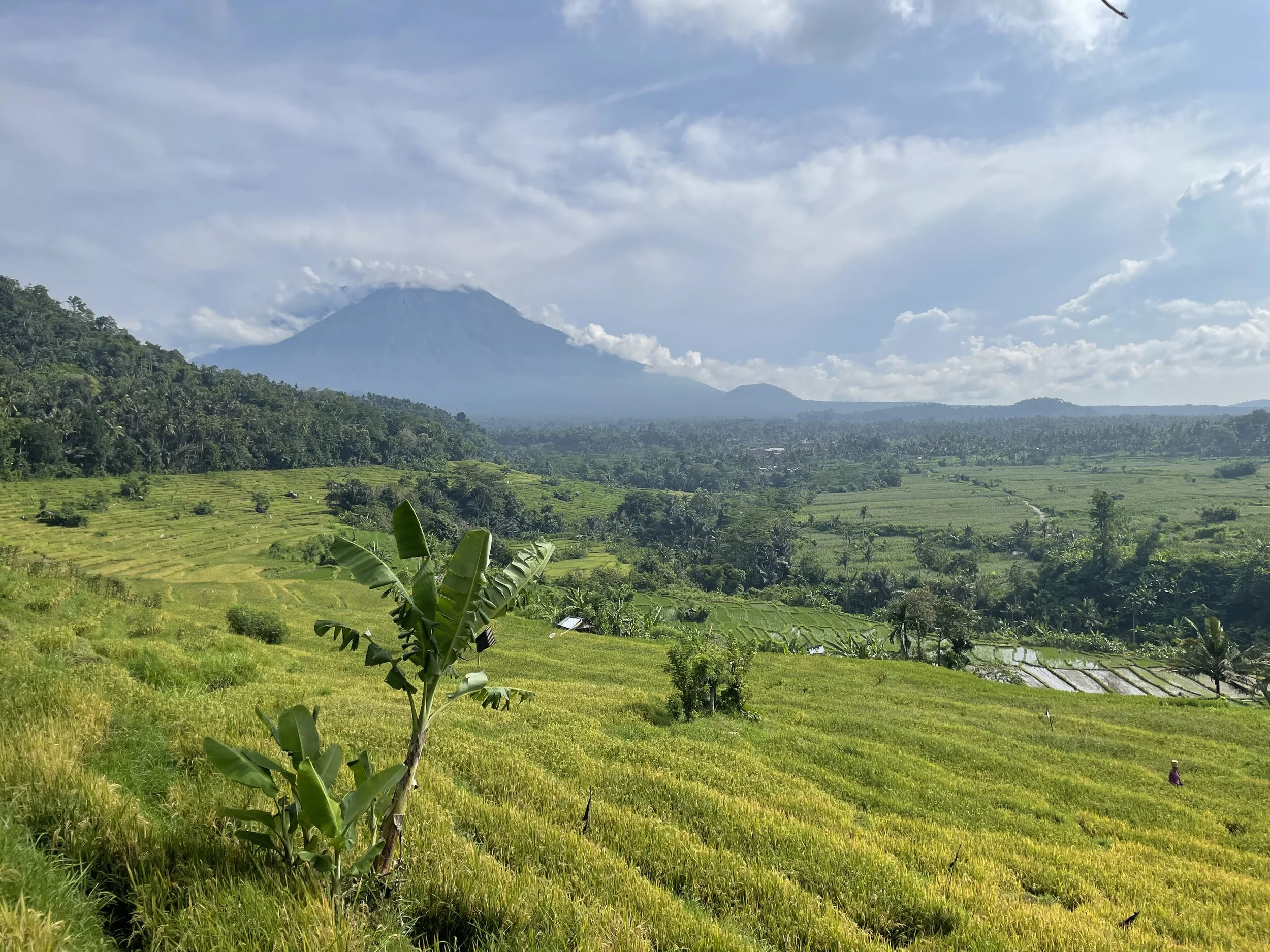Know Before You Go: Amankila (Manggis, Bali, Indonesia) — Petit Passeport