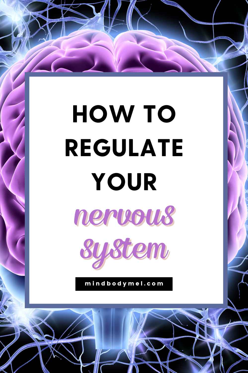 Nervous System Regulation 101: How to Regulate Your Nervous System to ...