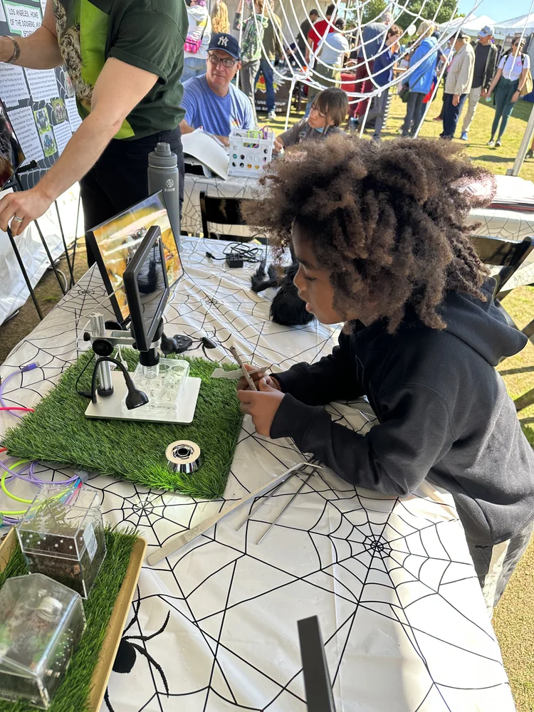 City of STEM Event Map — City of STEM