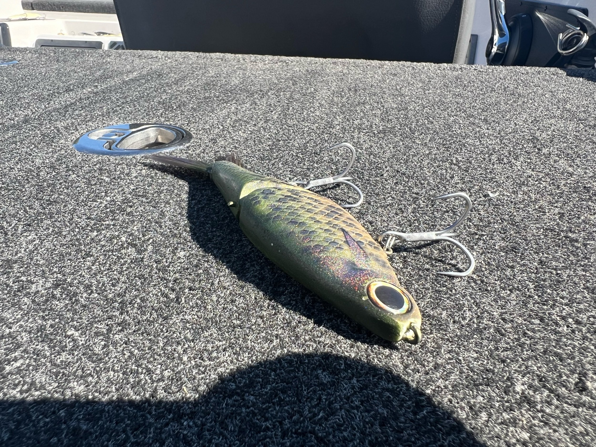 Glide Baits — Biggs Custom Baits