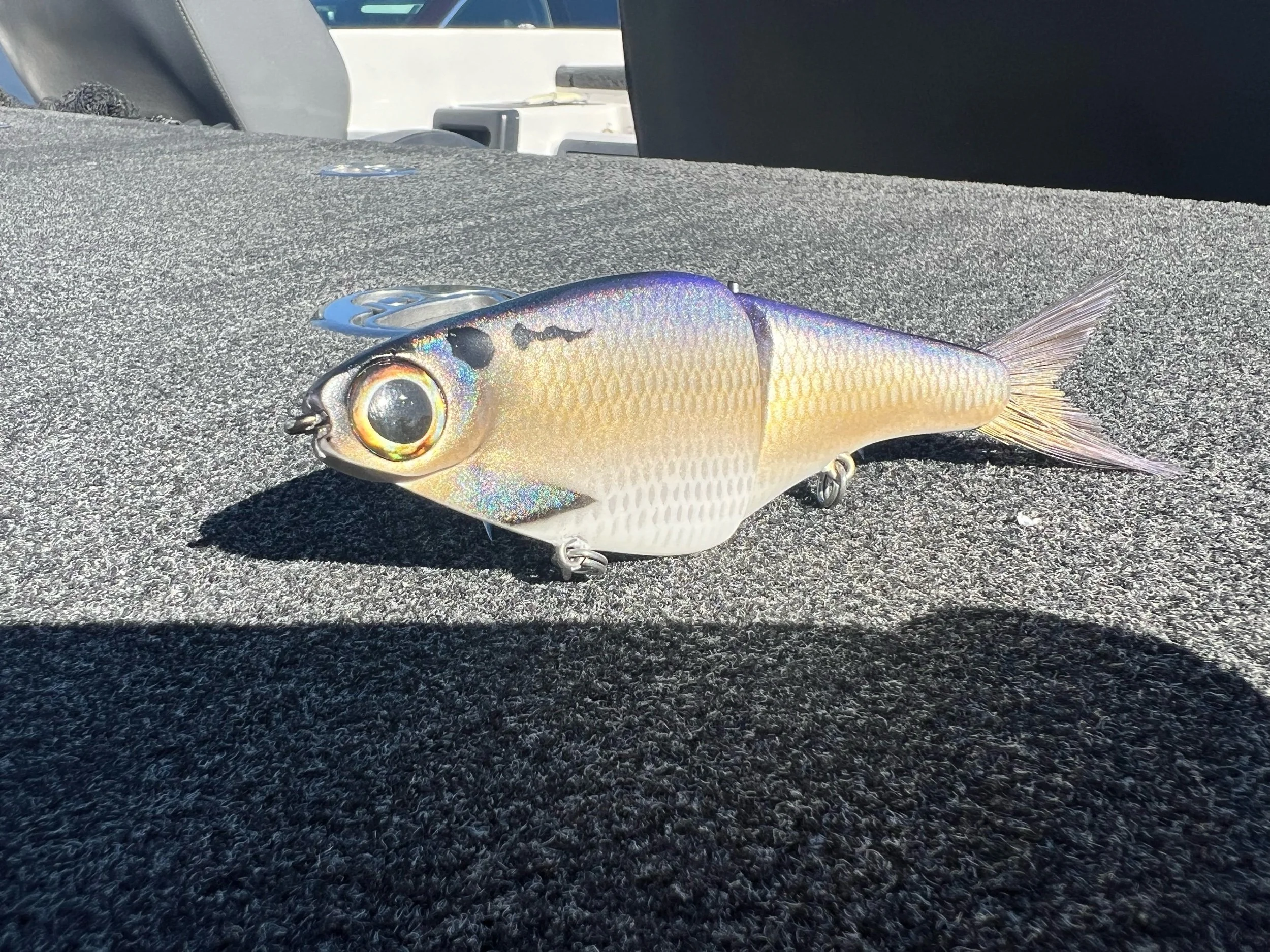 Glide Baits — Biggs Custom Baits