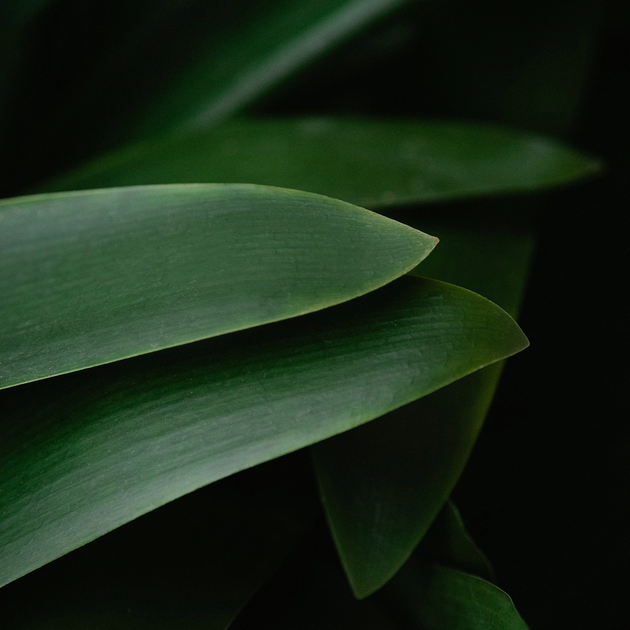 Why Mindfulness Matters — Mindful Photo Studio | Mindfulness Photography