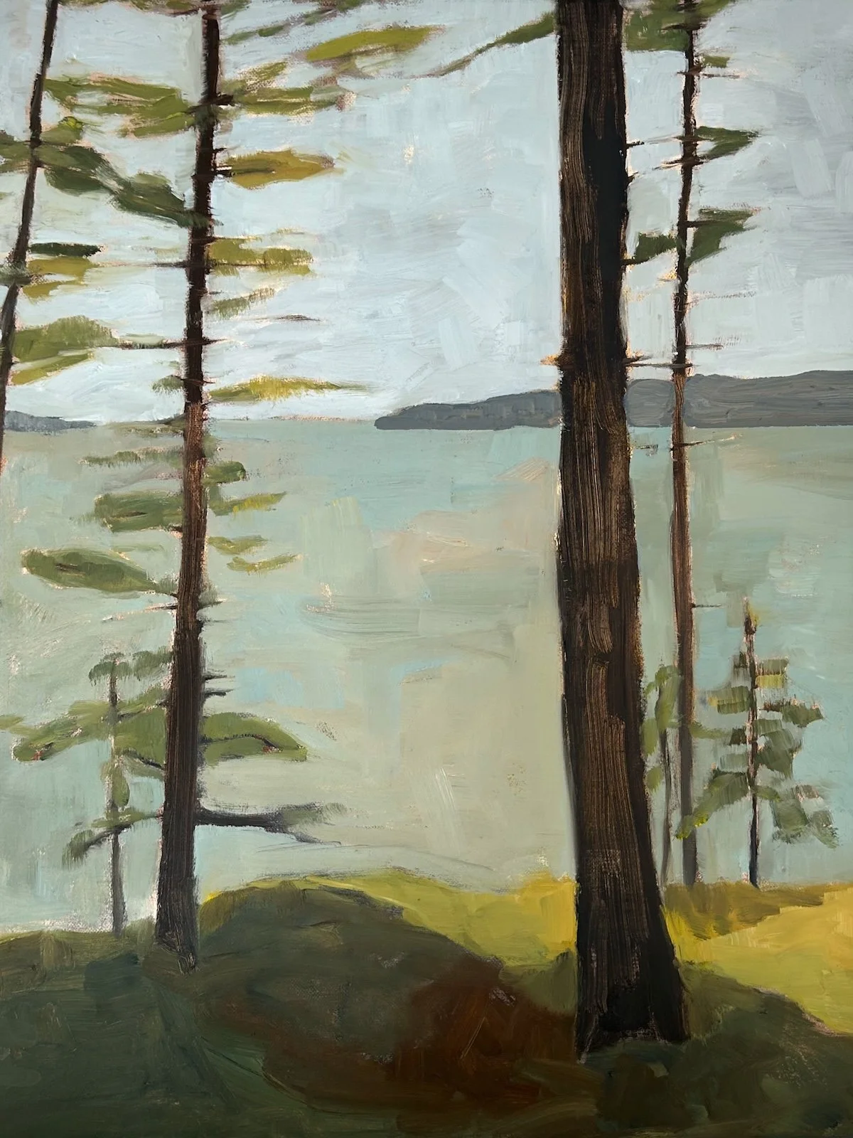 Aida Smith New Zealand fine artist — Aida Smith Artist