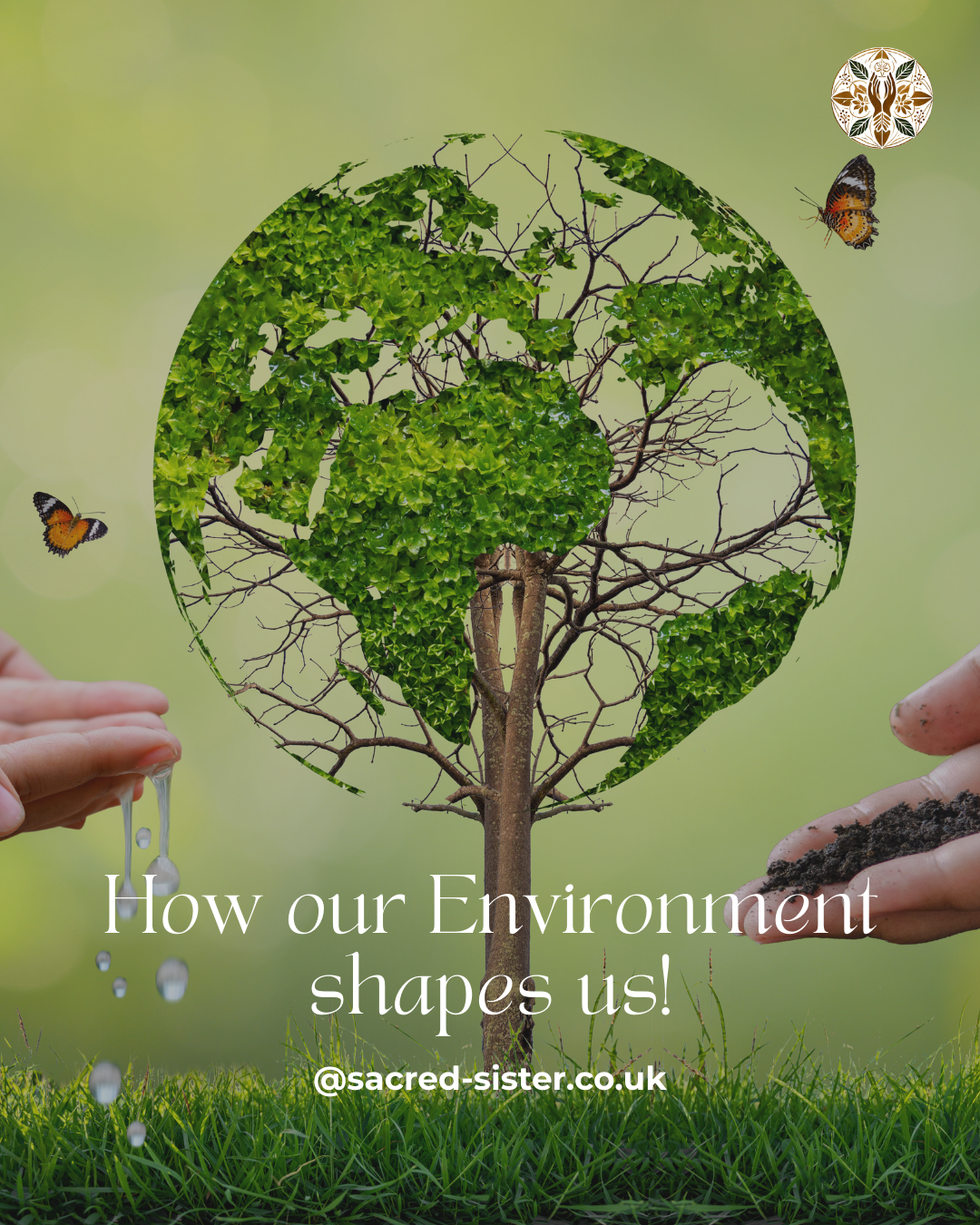 Your Environment is Shaping You — Sacred Sister