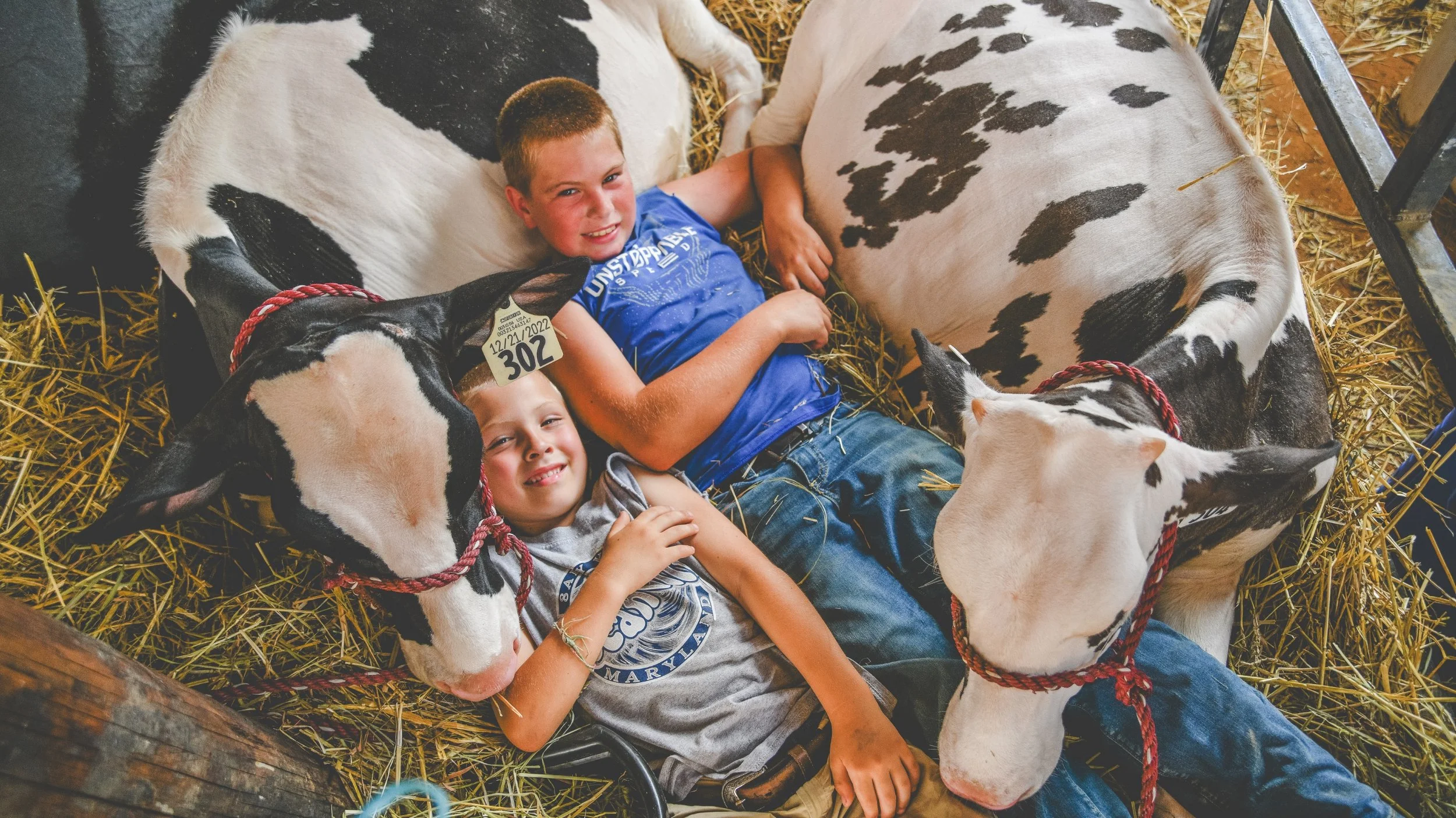 Shippensburg Community Fair