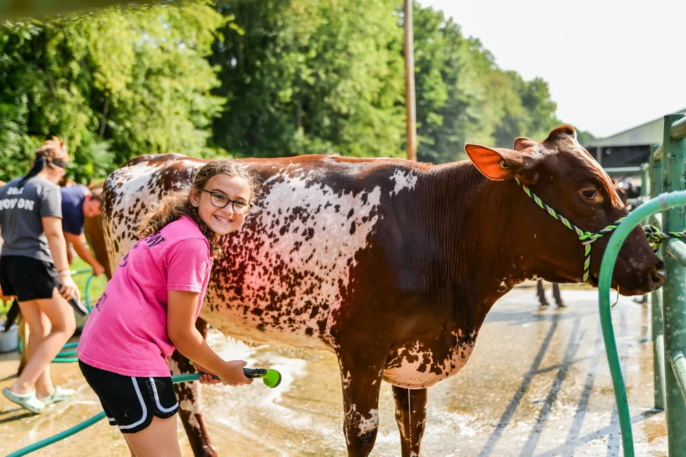 Plan Your Visit — Shippensburg Community Fair