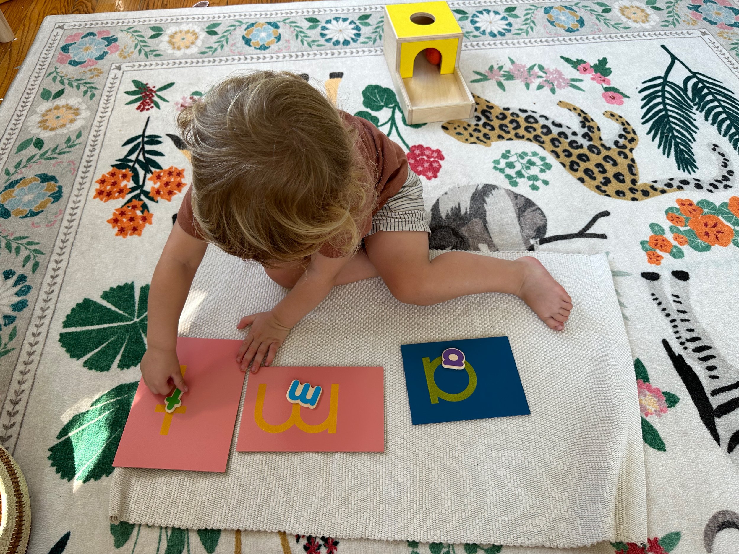 Montessori Toddler Activities: Shelfwork 24-30 Months — Home and on the Way