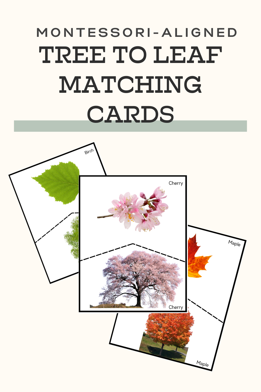 Tree to Leaf Matching Cards — Home and on the Way