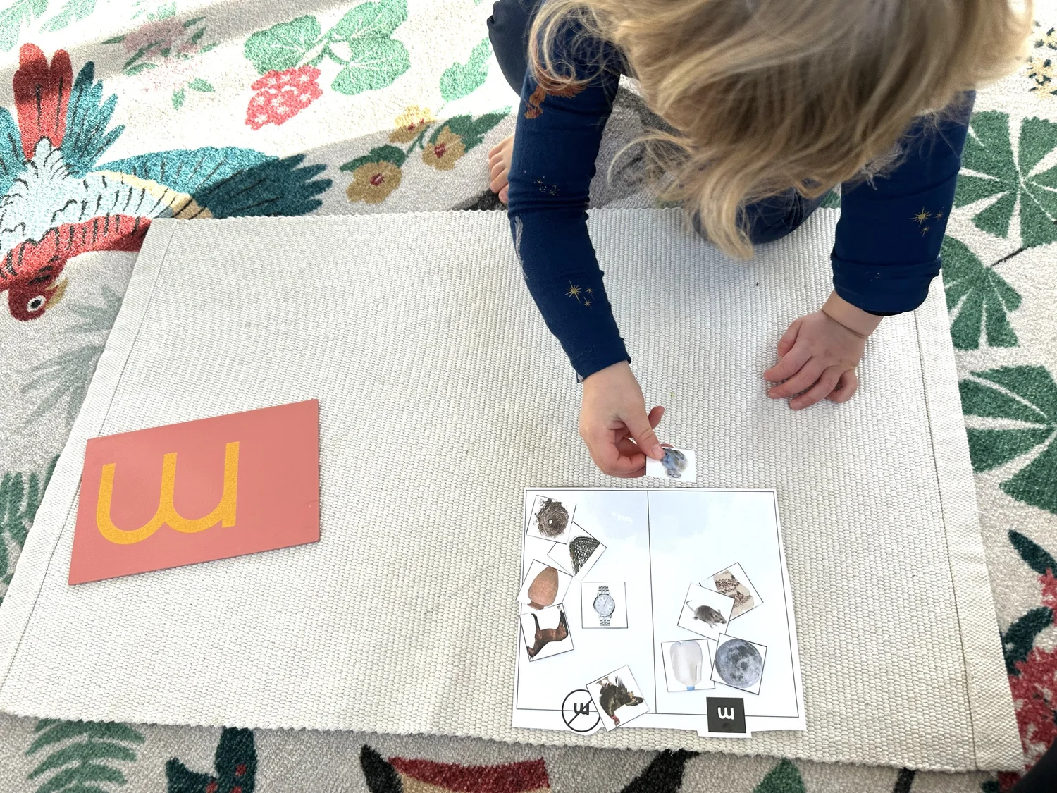 Letter of the Week Activities (and Montessori Letter Introduction ...