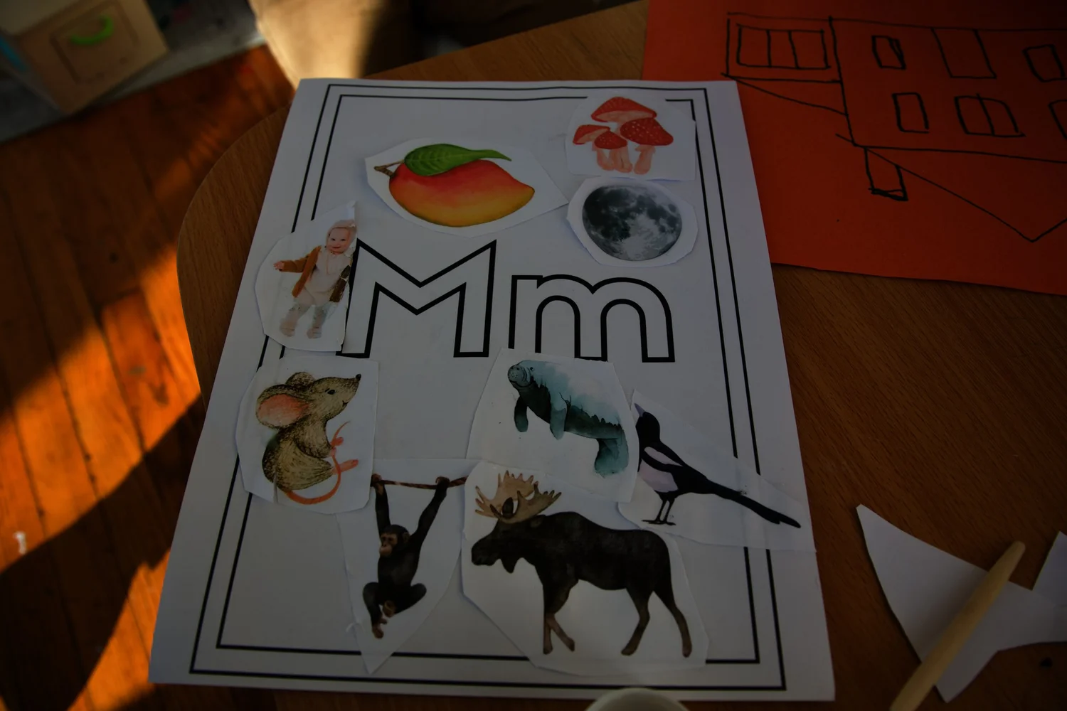 Letter of the Week Activities (and Montessori Letter Introduction ...