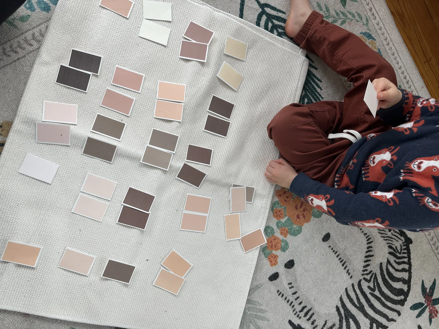 Human Body Pre-K Unit — Home and on the Way