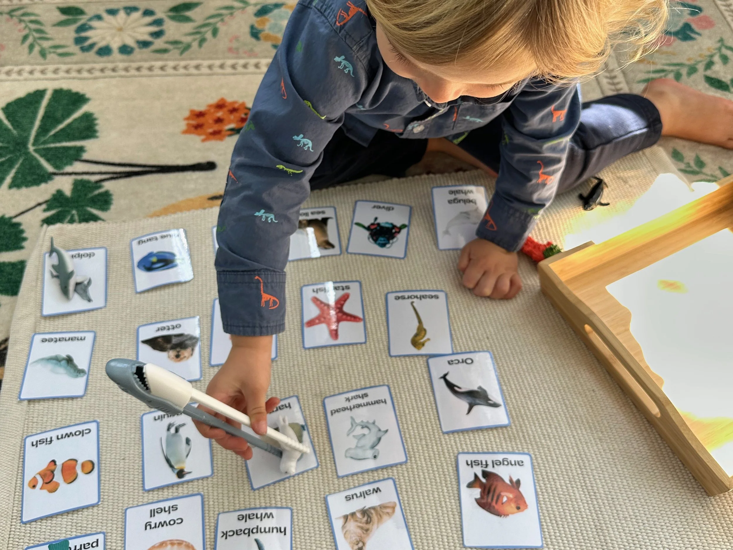 Montessori Toddler Activities: Shelfwork 24-30 Months — Home and on the Way