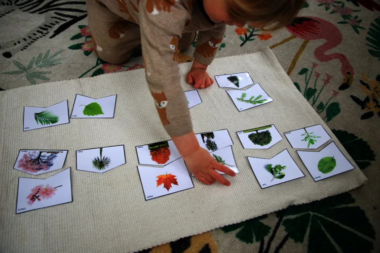 Montessori Activities for 2.5-Year-Olds (30-36 Months) — Home and on ...