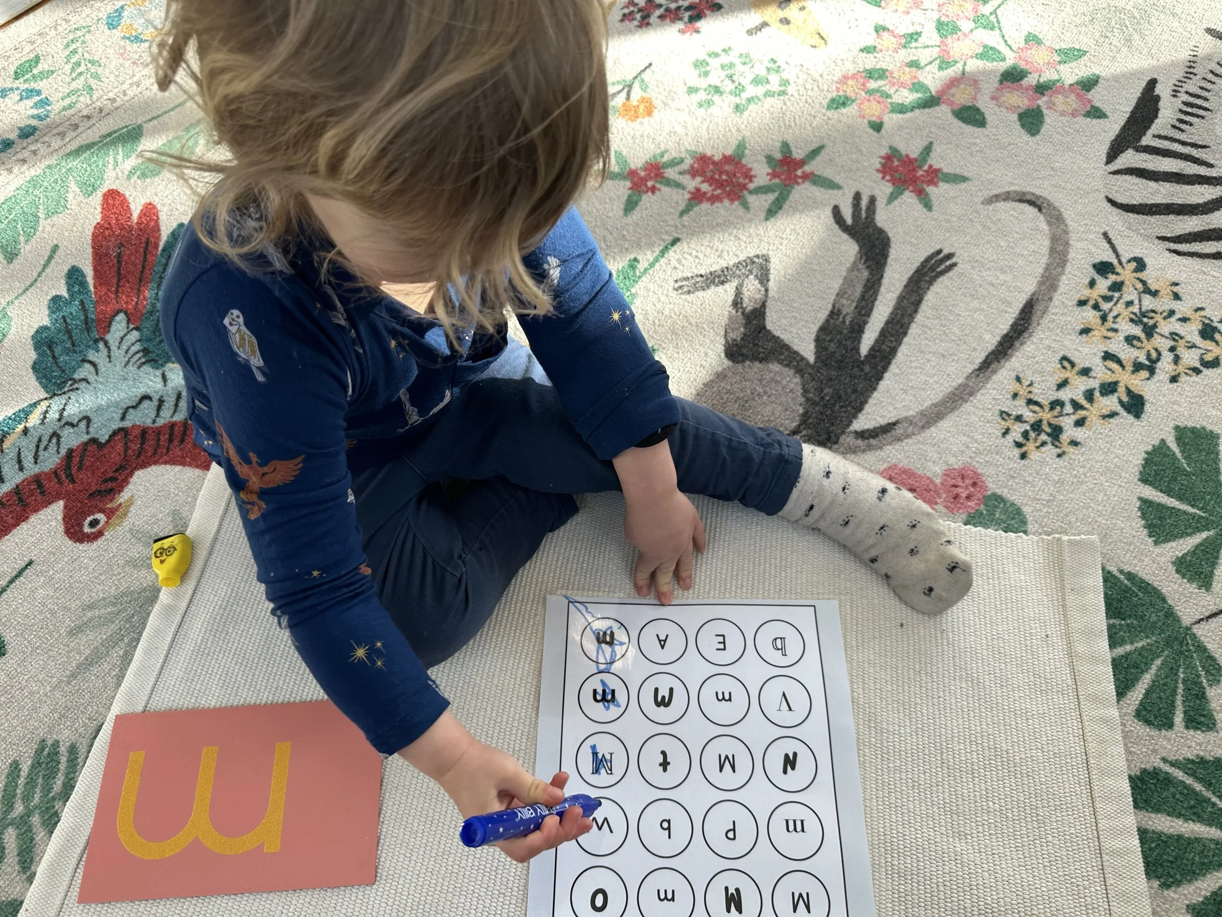 Letter of the Week Activities (and Montessori Letter Introduction ...