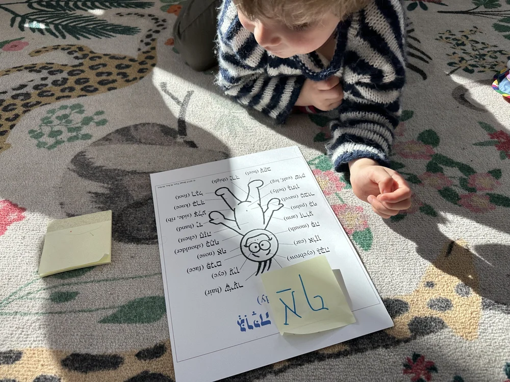 Human Body Pre-K Unit — Home and on the Way