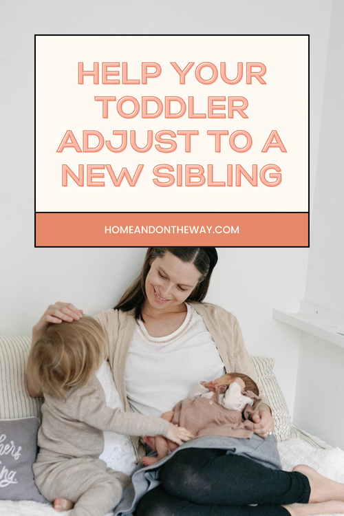 How to Help Your Toddler Adjust to a New Sibling — Home and on the Way