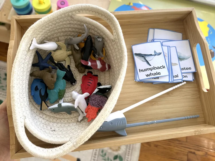 Montessori Language Work: Matching Activities — Home and on the Way