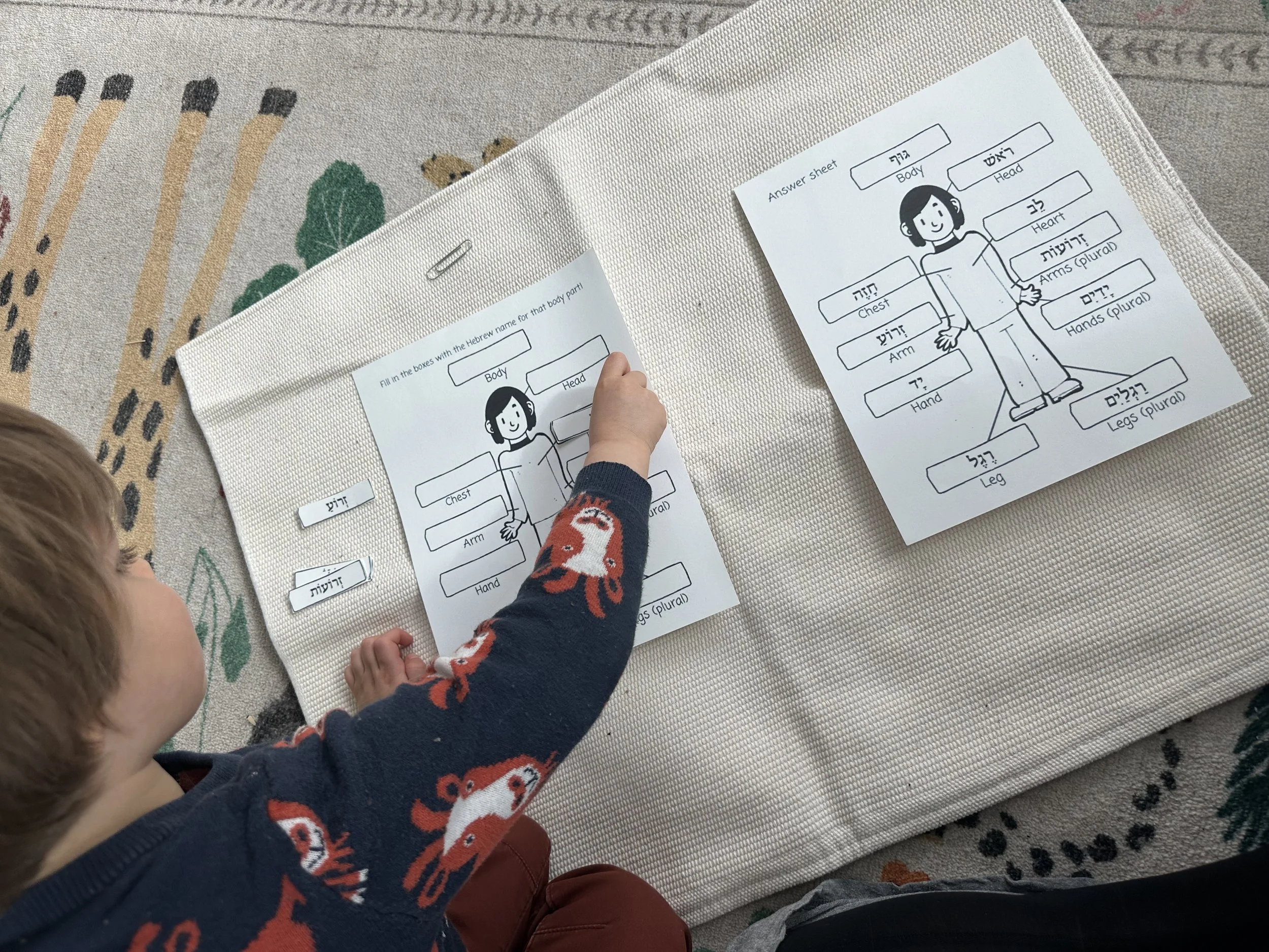 Human Body Pre-K Unit — Home and on the Way