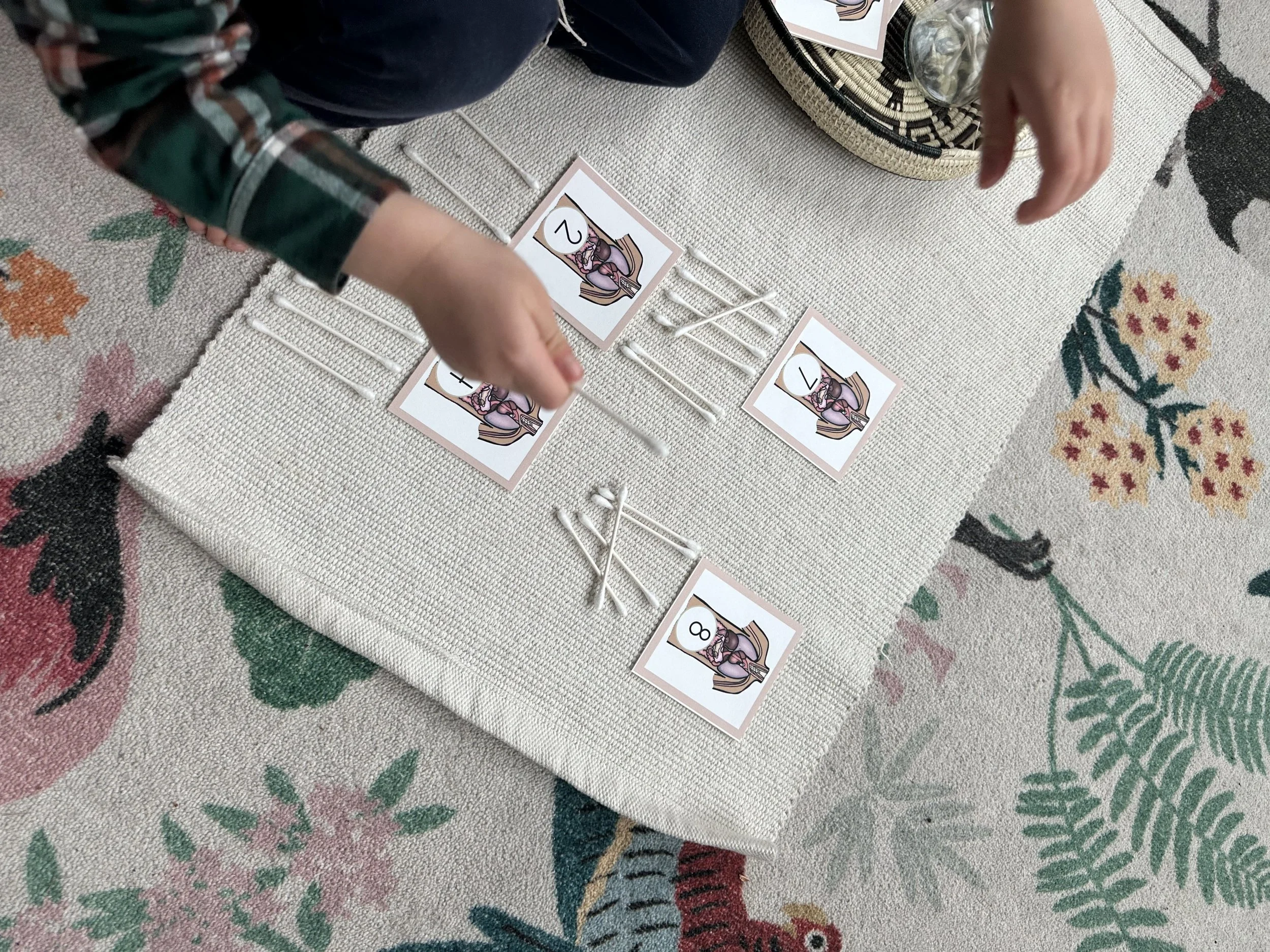 Human Body Pre-K Unit — Home and on the Way