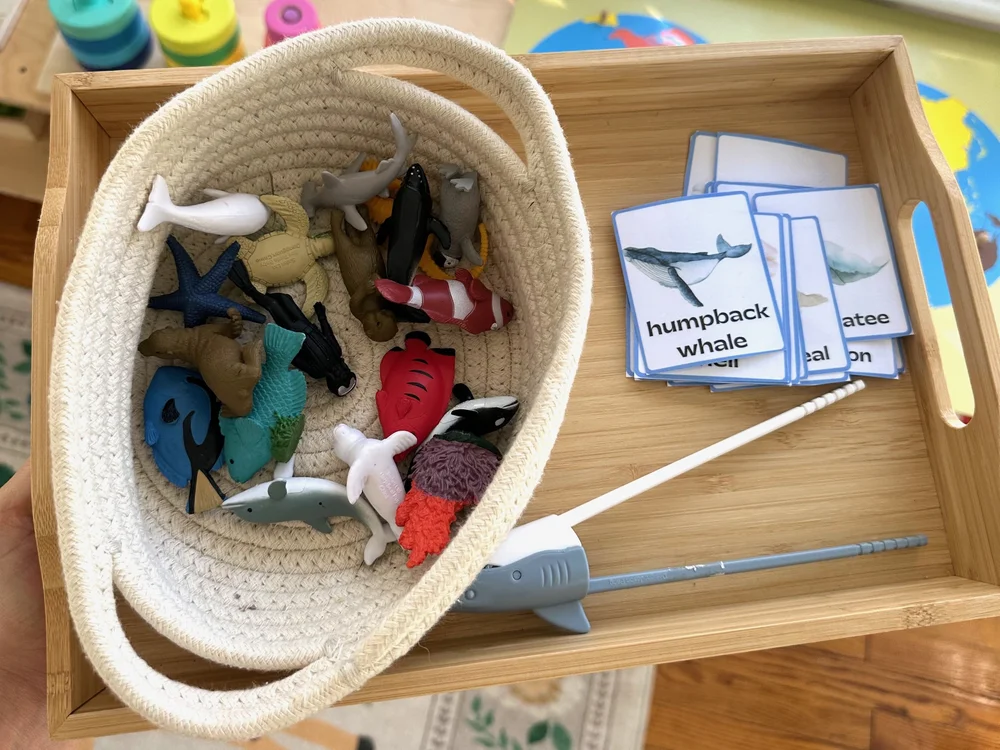 Montessori Toddler Activities: Shelfwork 24-30 Months — Home and on the Way
