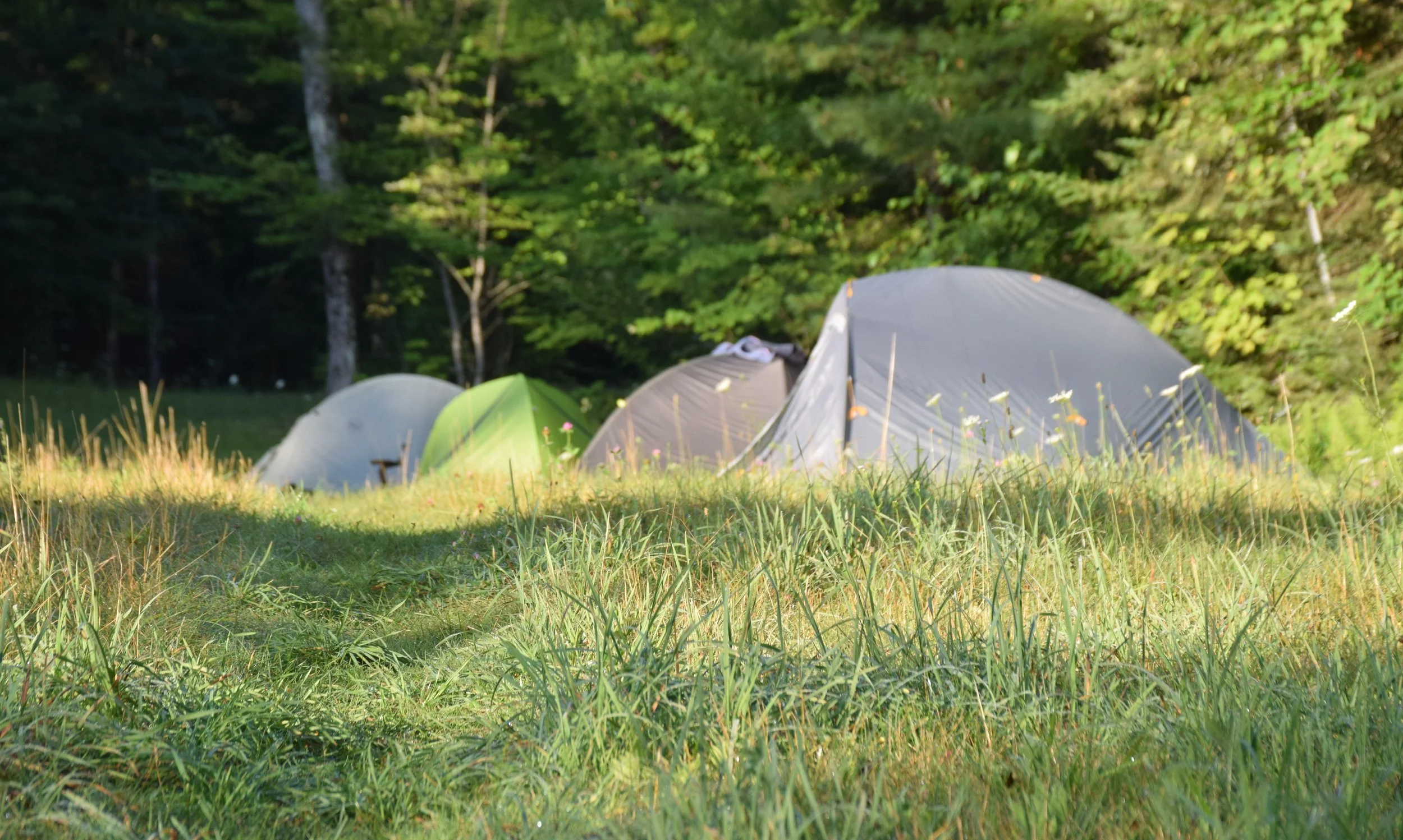 Camp — Ramble Bikepacking