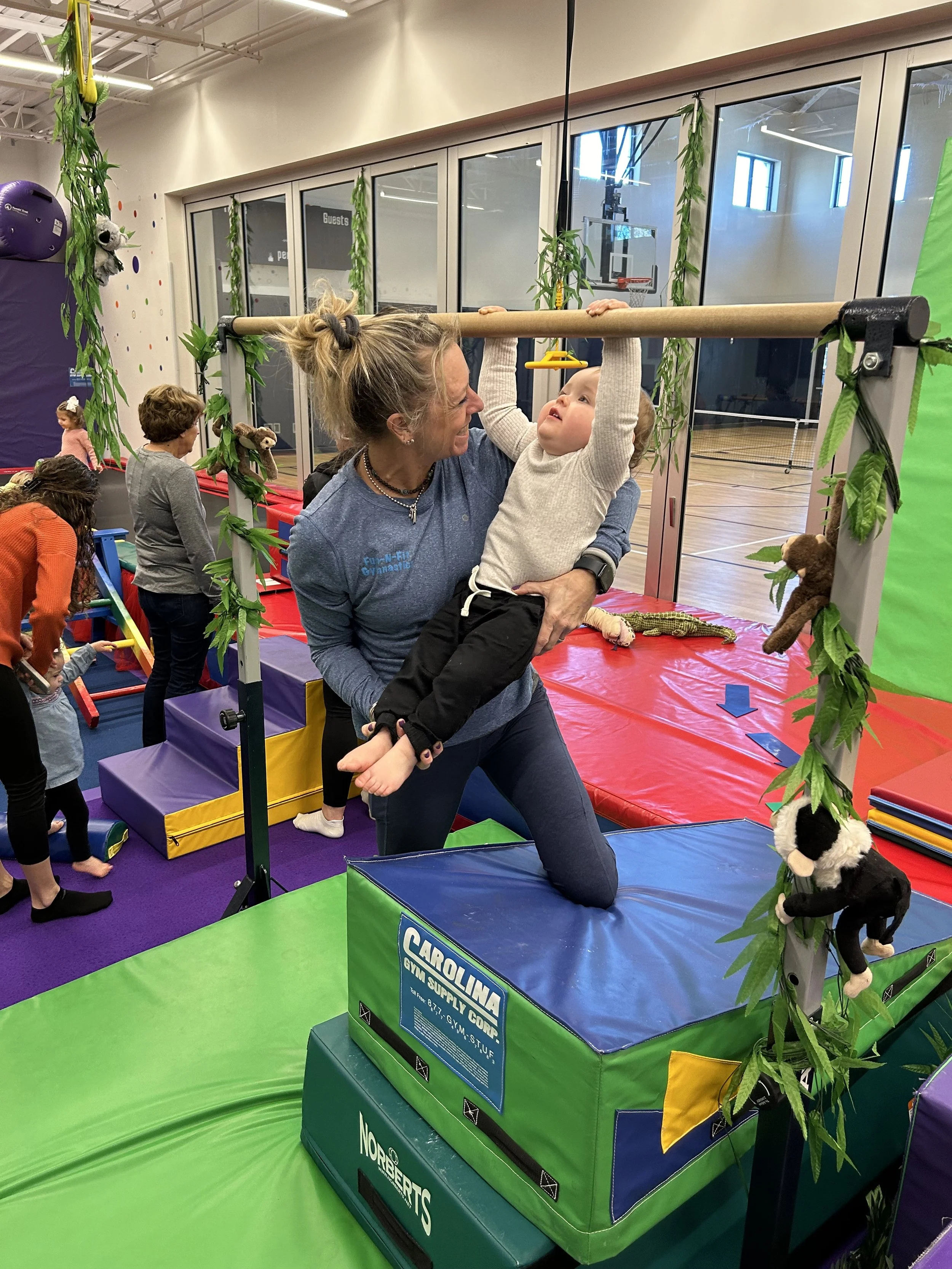 PROGRAMS — Fun-N-Fit Gymnastics
