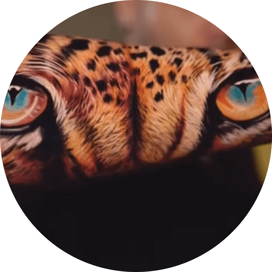 Color Realism Tattoo Shop in Colorado — Certified Tattoo Studios