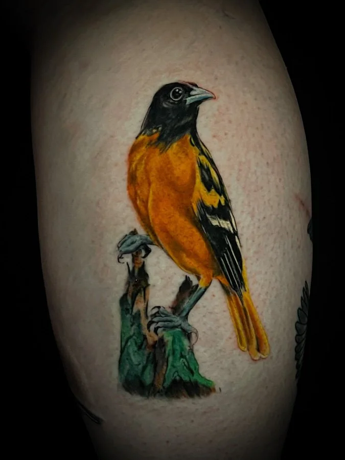 OG Libra — Certified Tattoo Studios