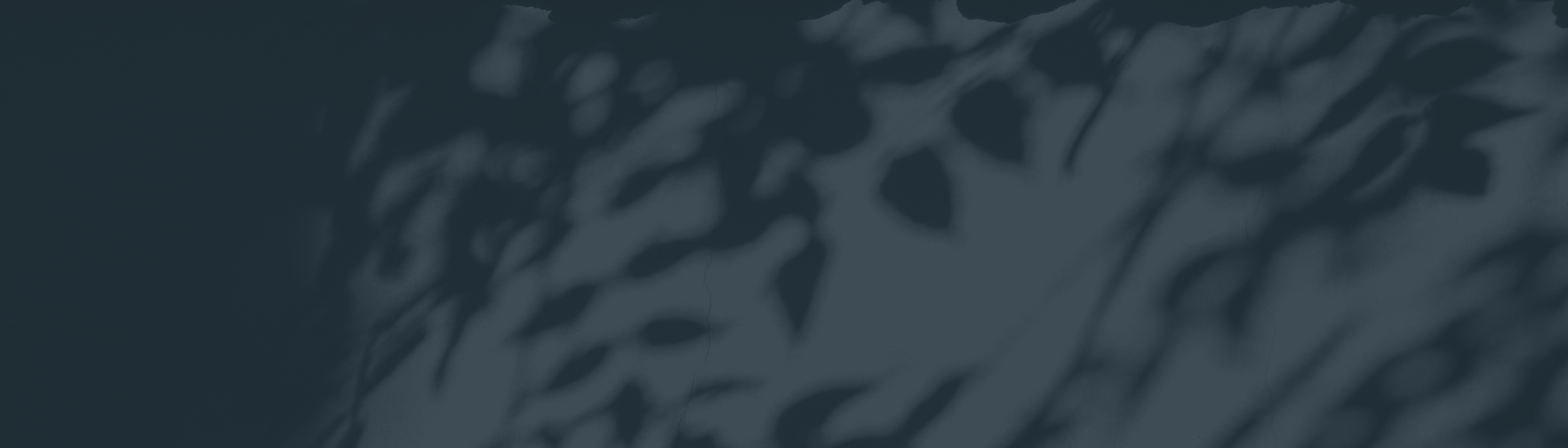 Automotive Articles — Jaclyn Trop