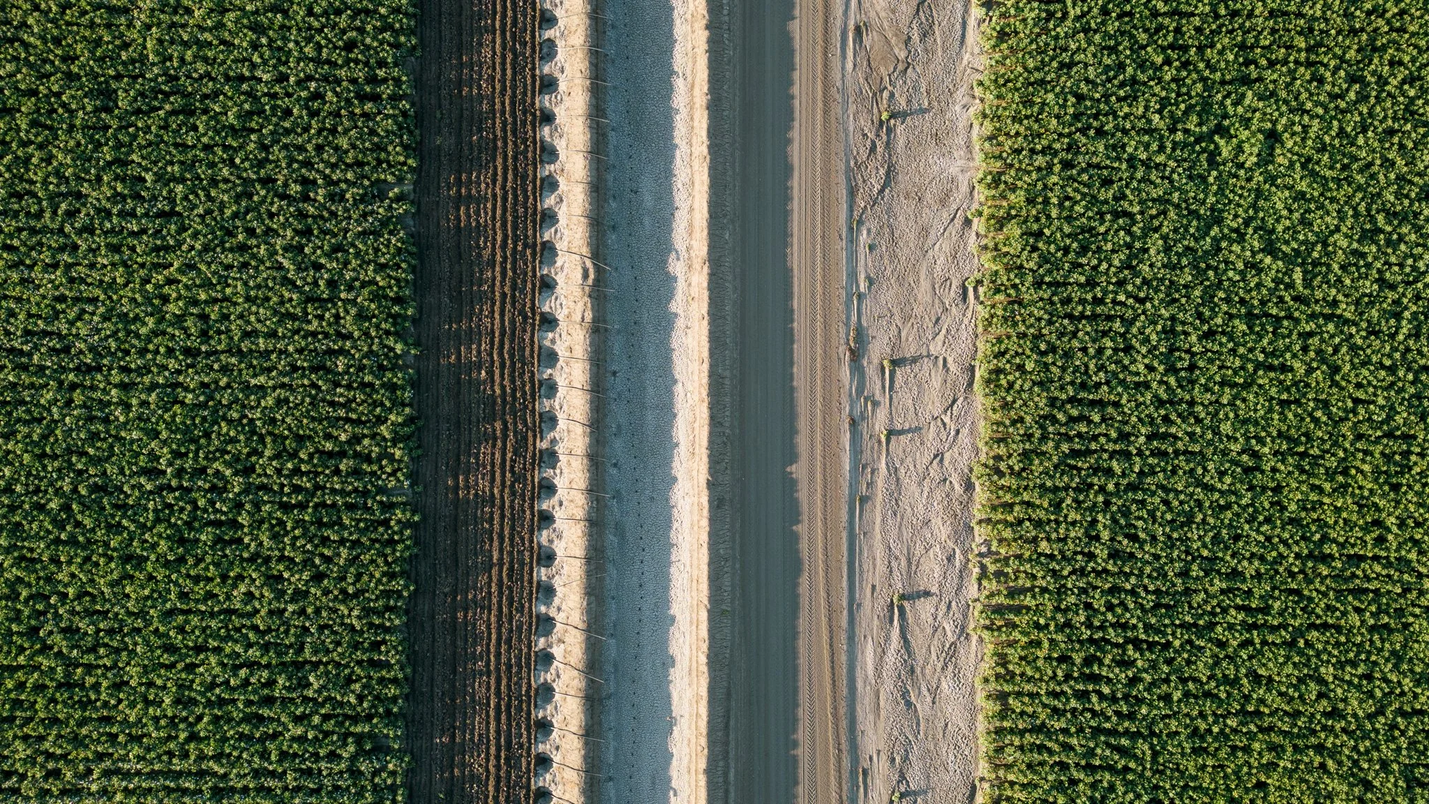 Beanstalk | Driving Resilient Agrifood Systems