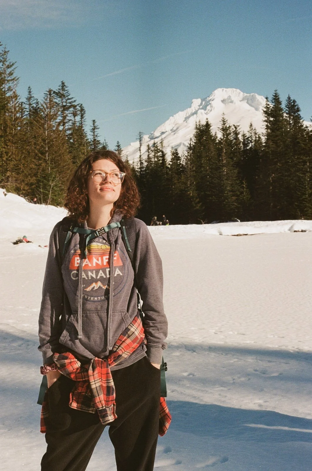 Our Team — Brooklyn Yard Veterinary Hospital