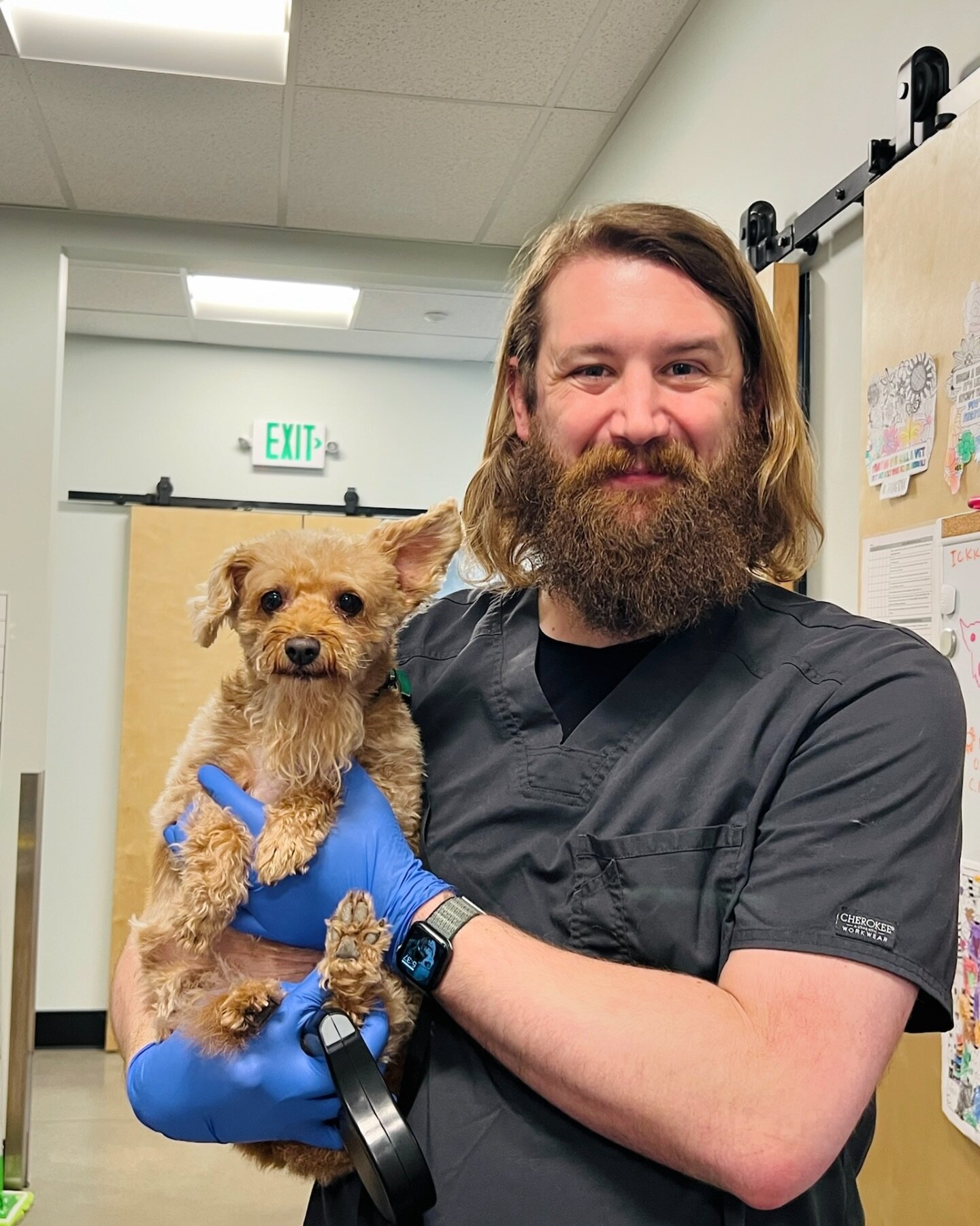 Alayson Phelps, DVM — Brooklyn Yard Veterinary Hospital
