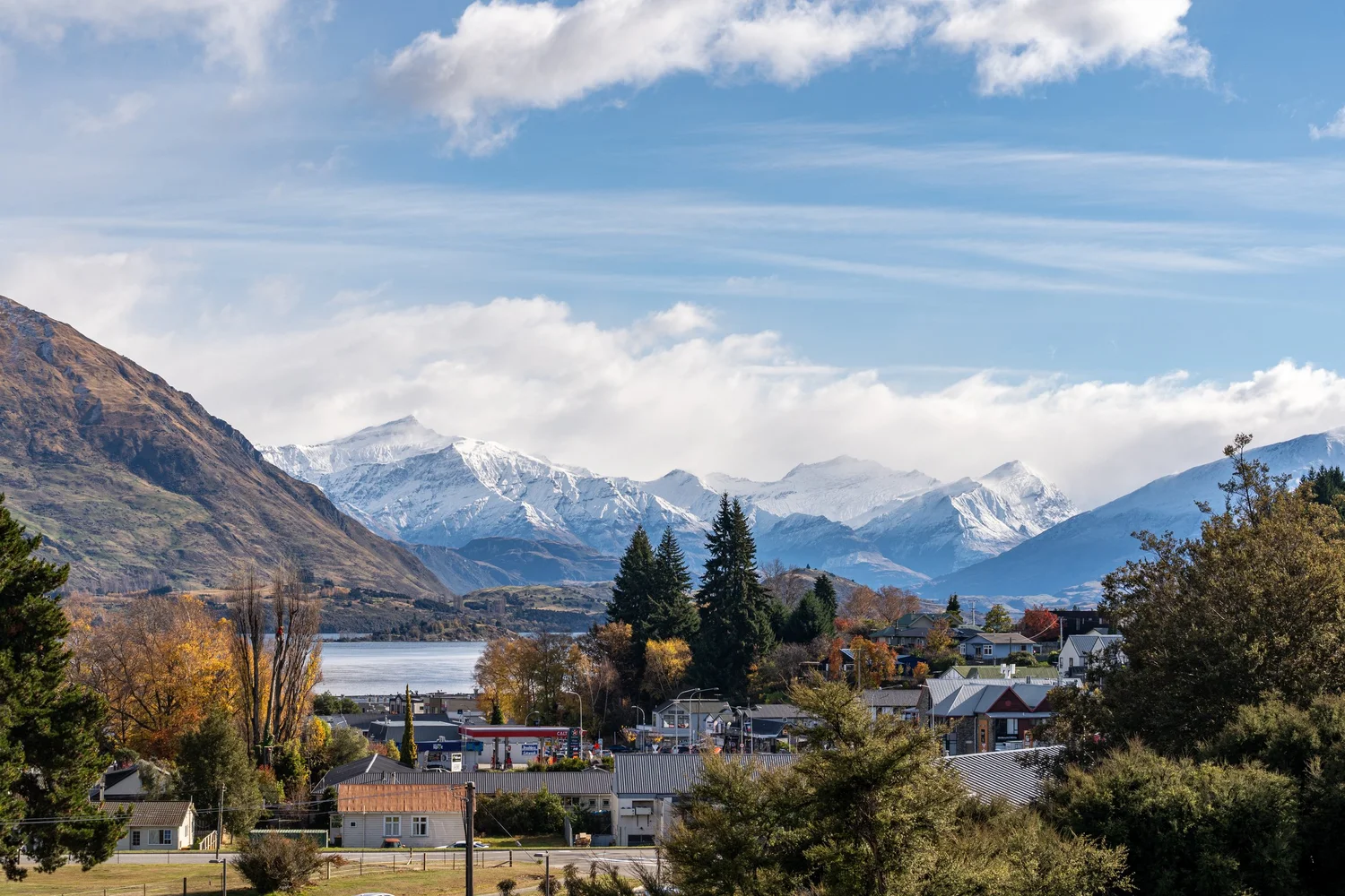 Get in touch — Wanaka Tree Care