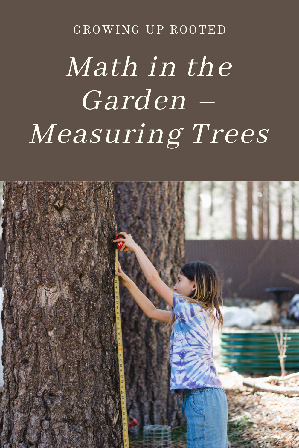 Math in the Garden – Measuring Trees — Growing Up Rooted