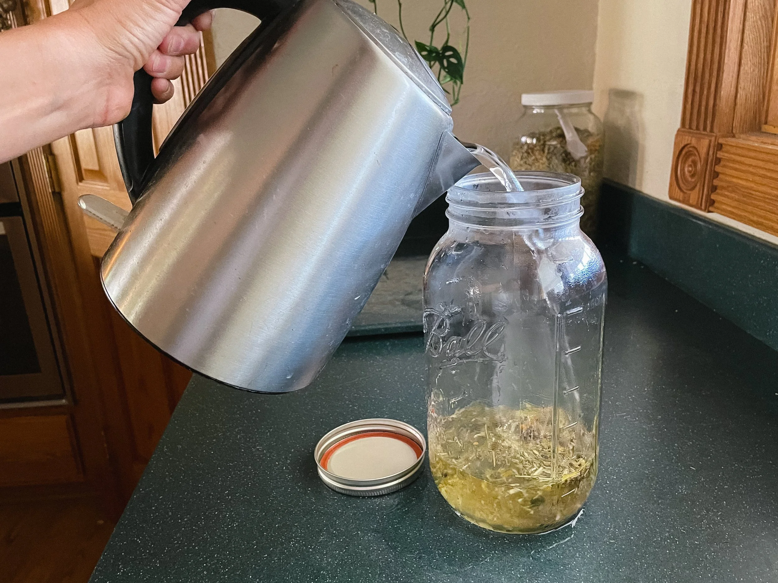 How to make an herbal infusion to drink all day — Growing Up Rooted