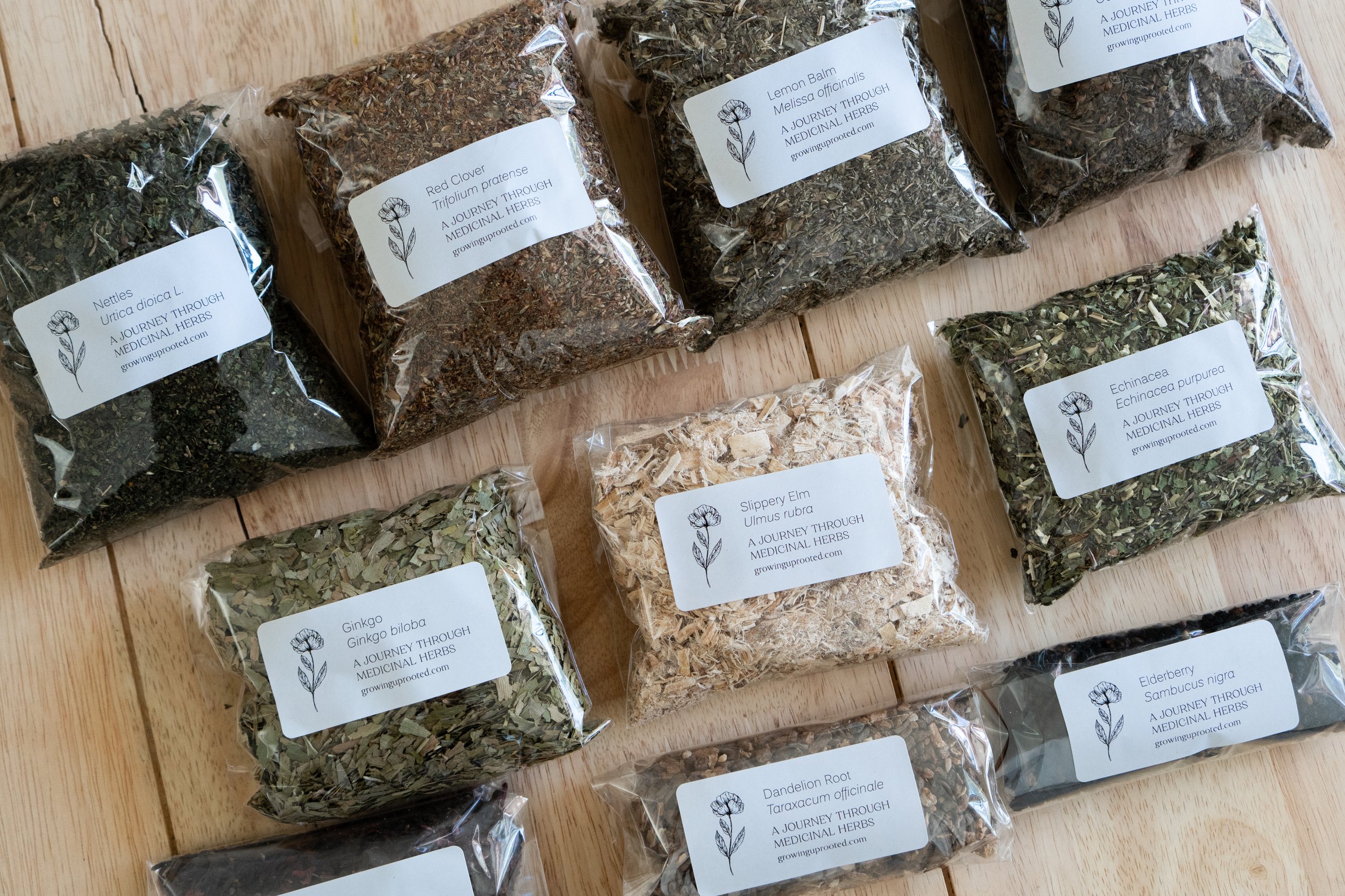 A Journey Through Medicinal Herbs — Growing Up Rooted