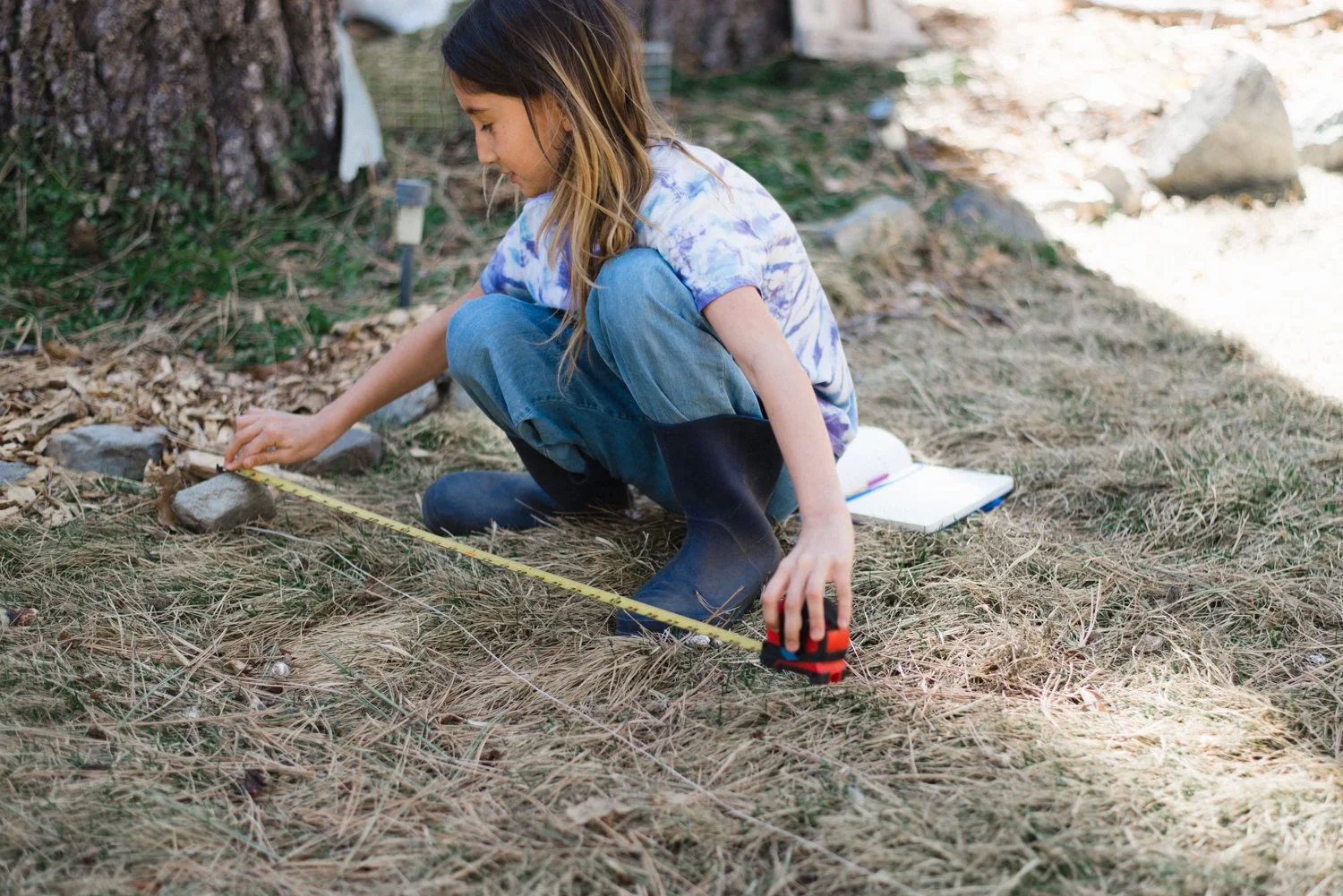 Math in the Garden – Measuring Trees — Growing Up Rooted