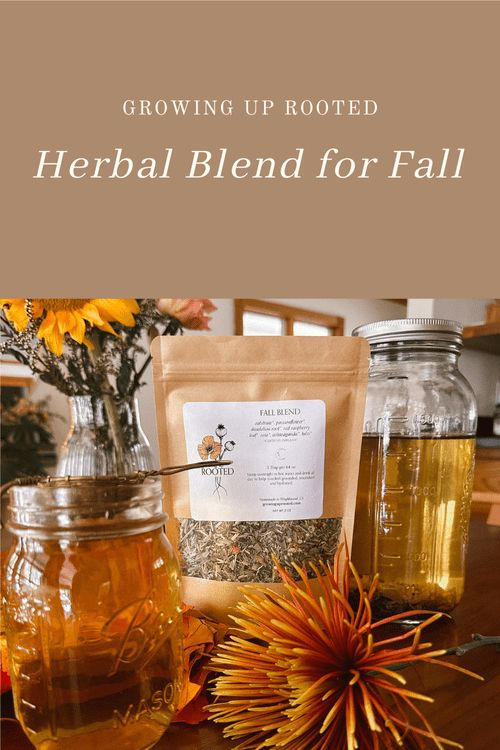 An herbal blend for Fall — Growing Up Rooted