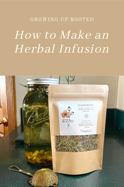 How to make an herbal infusion to drink all day — Growing Up Rooted