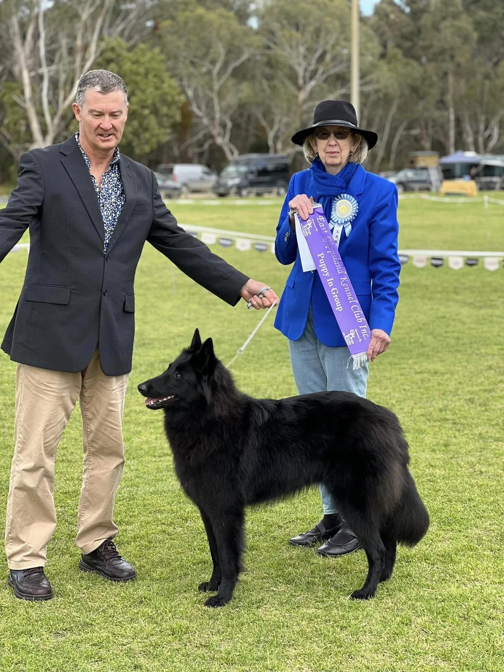 Belgian Shepherd Breeders, Belgian Shepherds, Belgian Sheepdogs ...