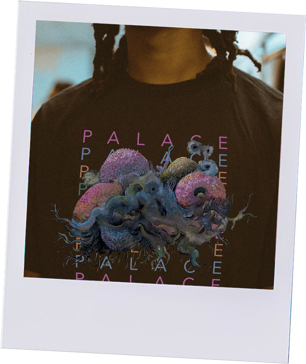 Palace — BSI Merch