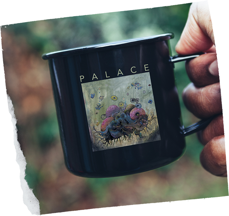 Palace — BSI Merch